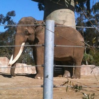 Elephant Odyssey - Balboa Park - San Diego, CA