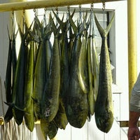 Kewalo Basin - Ala Moana - Kakaako - 7 tips from 655 visitors