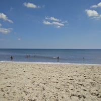 Poodle Beach - Rehoboth Beach, DE