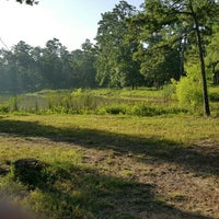 W G Jones State Forest - Park in Conroe