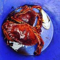 Point Defiance Ferry Terminal - West End - 6 tips from 548 visitors