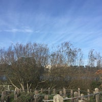 Lake Merced Run Loop - Lakeshore - 9 tips from 402 visitors