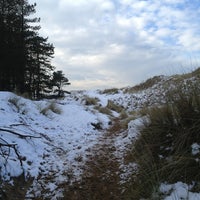 Ainsdale Sand Dunes National Nature Reserve - Pinfold Lane
