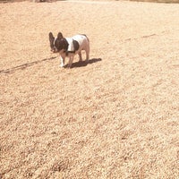 Lowry Dog Park - Dog Run in Lowry Field