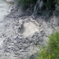 Mud Pool - Other Great Outdoors in Waiotapu