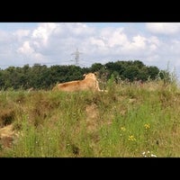 Yorkshire Wildlife Park - Zoo in Doncaster