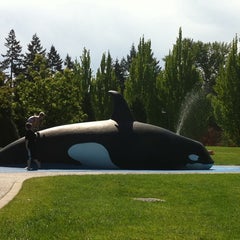 Crossroads Park - Crossroads - Bellevue, WA