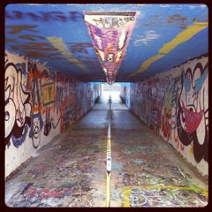NC State Free Expression Tunnel - 2 tips