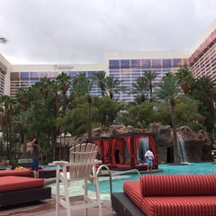 Flamingo GO Pool - The Strip - Las Vegas, NV