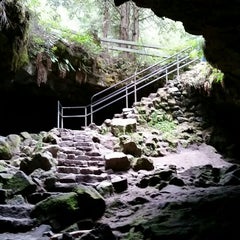 Ape Cave - Trail