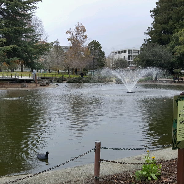 San Lorenzo Park - Park in Santa Cruz