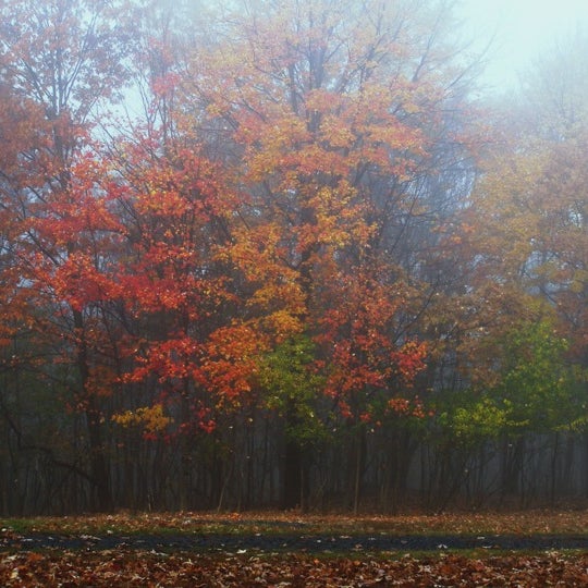 Garret Mountain Reservation - Garret Mountain Park