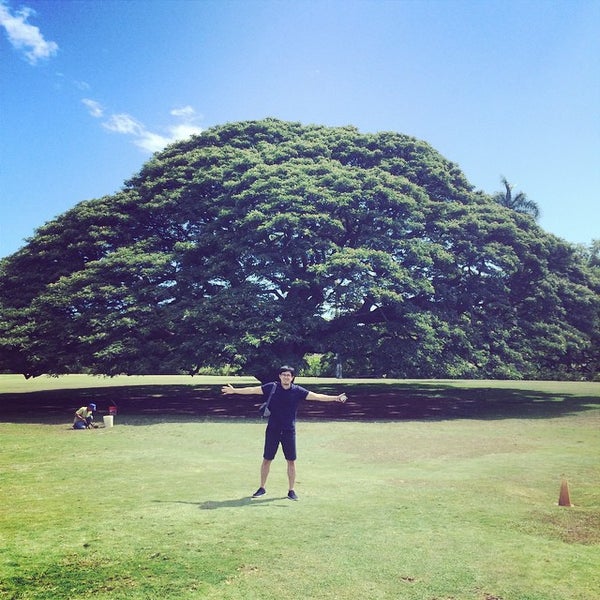 Moanalua - Moanalua - 0 tips