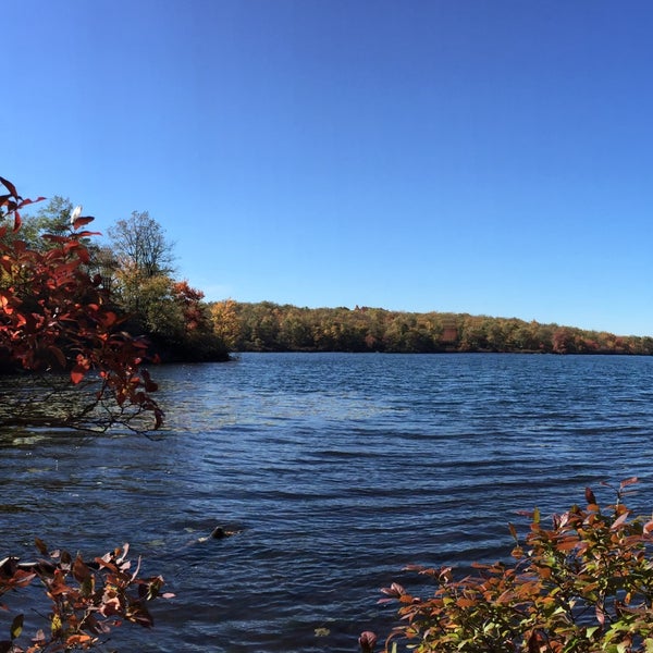 Sunfish Pond - 2 tips from 135 visitors