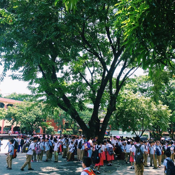 P. Gomez Elementary School - School in Santa Cruz