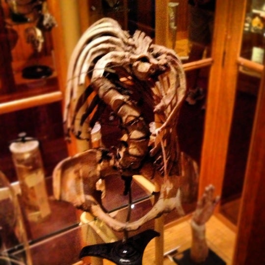 Mütter Museum - Center City West - 19 S 22nd St