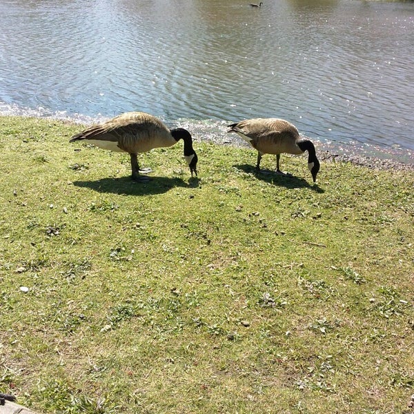 Peterkin Park - Amityville, NY