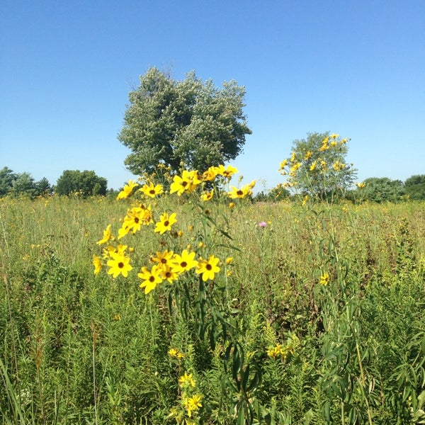 Springbrook Prairie Forest Preserve - Naperville, IL