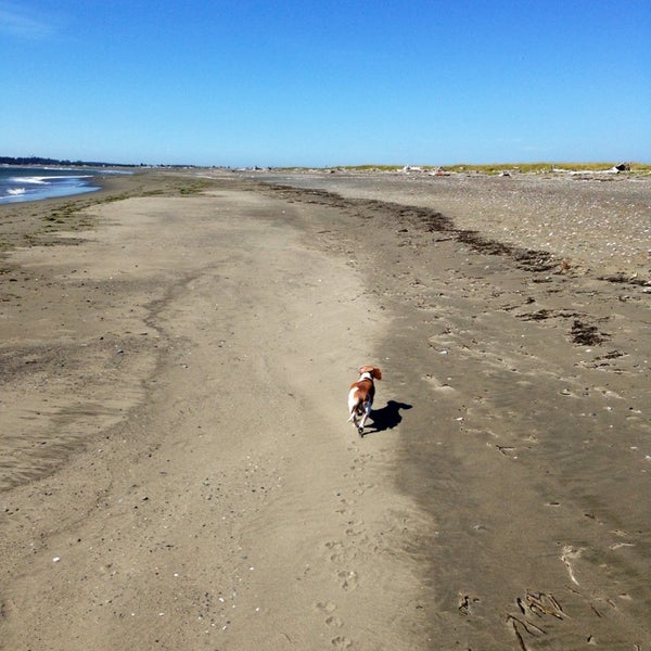 Damon Point State Park - Beach in Ocean Shores