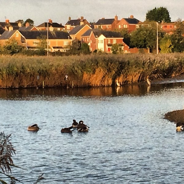 RSPB Radipole Lake - Weymouth, Dorset