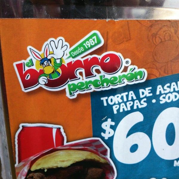 Burro Percheron - 6 tips