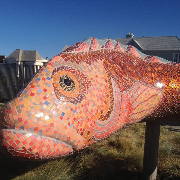 Ortega Branch Library - Outer Sunset - San Francisco, CA