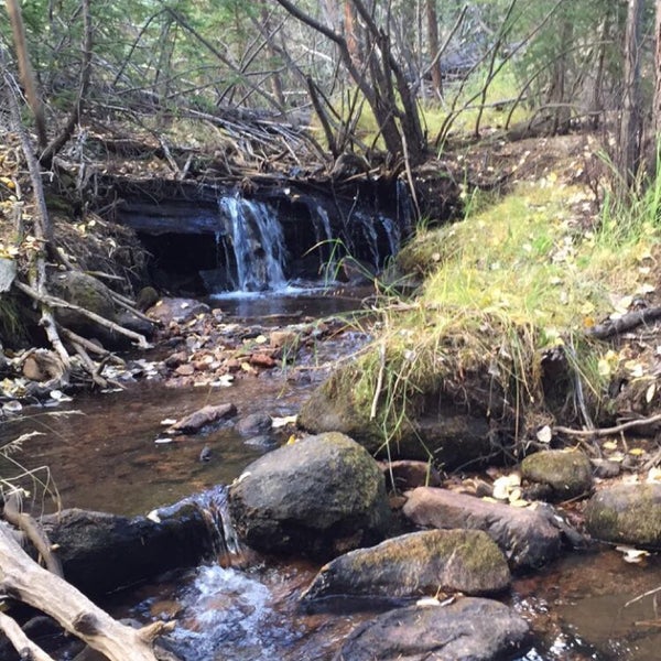Conifer, Co - Colorado