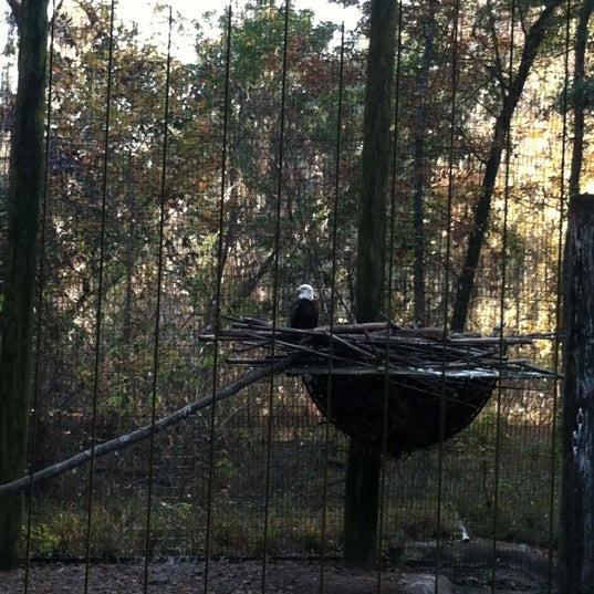 Chehaw Wild Animal Park - 4 tips from 168 visitors