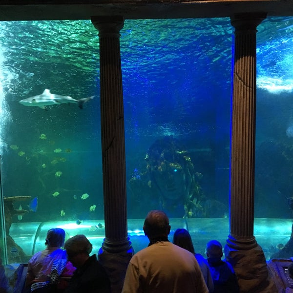 Sea Life Centre - Aquarium