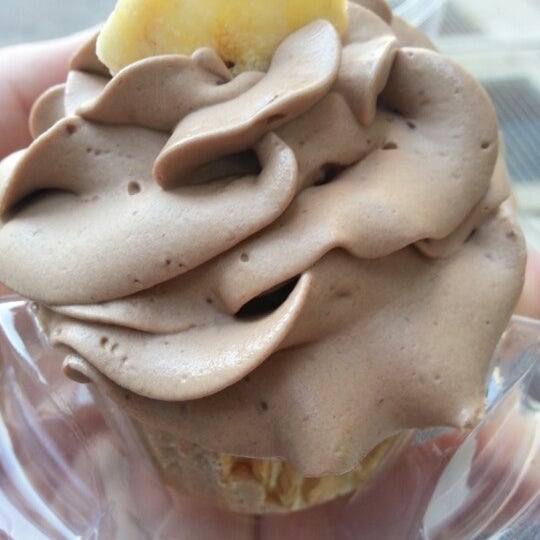 Chicago Cupcake - Grant Park - 10 tips