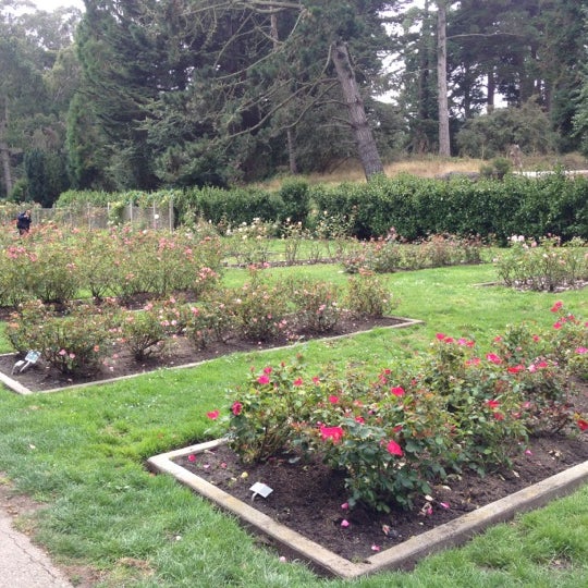 Rose Garden - Golden Gate Park - San Francisco, CA