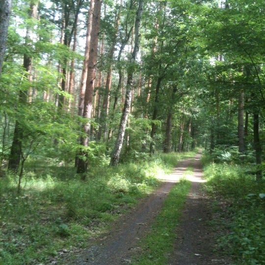 Forst Grunewald - Grunewald - 17 tips