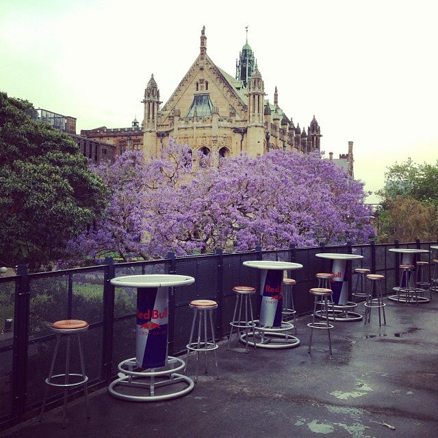 Manning Bar reviews, photos - Camperdown - Sydney - GayCities Sydney