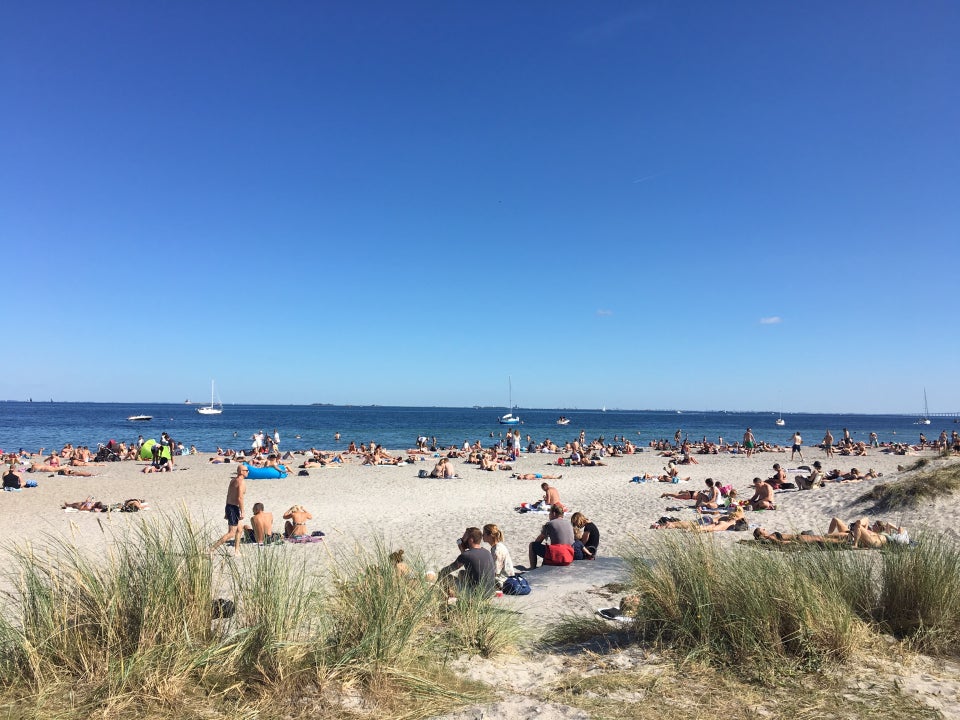 Amager Strandpark Photos - GayCities Copenhagen