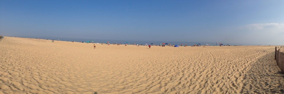 Poodle Beach Photos - GayCities Rehoboth Beach