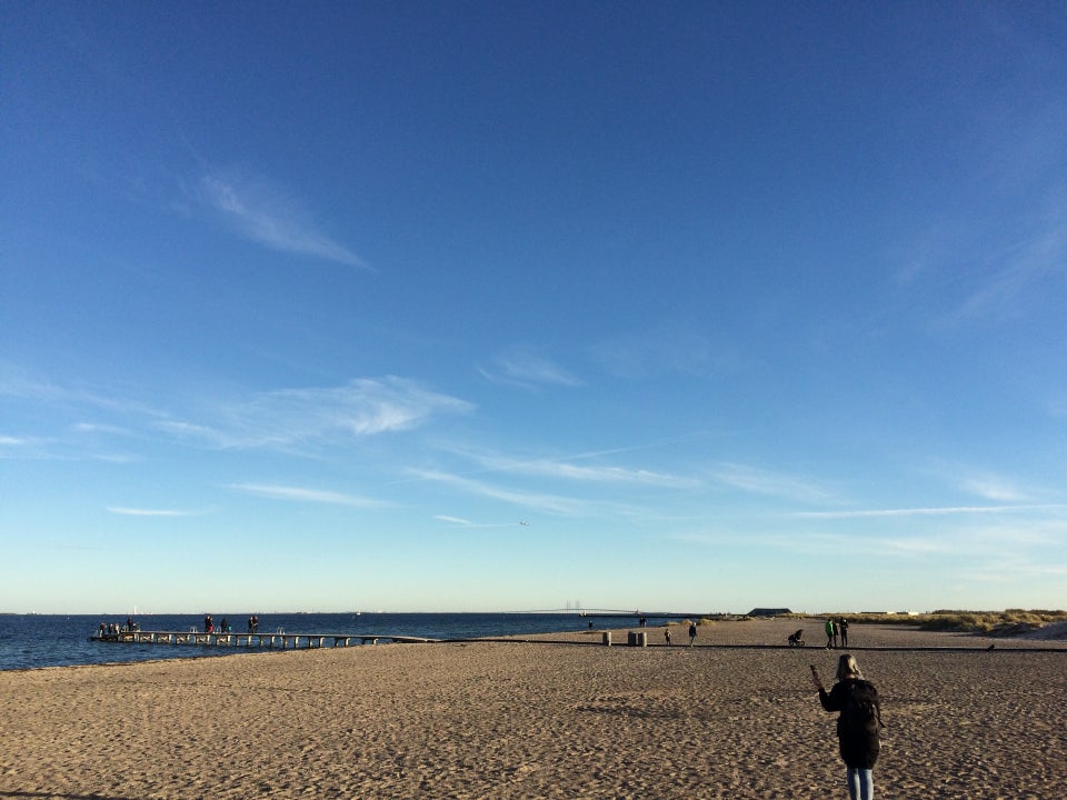 Amager Strandpark Photos - GayCities Copenhagen